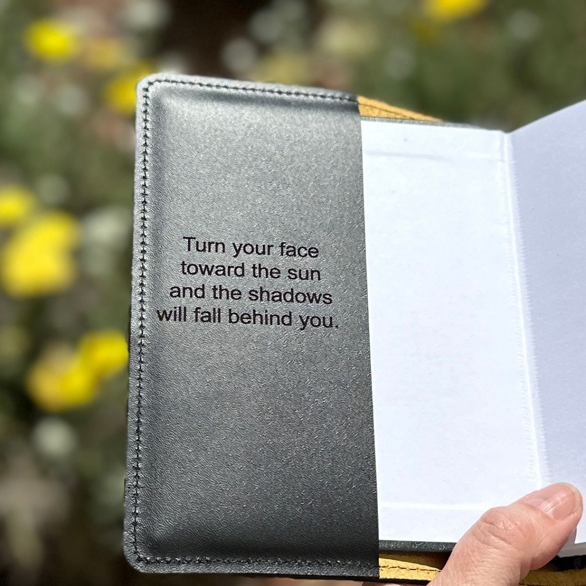 Specials, Sales and Other Good Things - Oberon Design